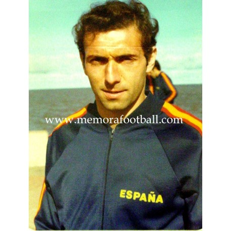 Spain National Team QUINI 1978 FIFA World Cup tracksuit