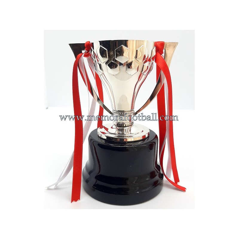 Atlético de Madrid CF 2020-2021 Spanish League Player Trophy